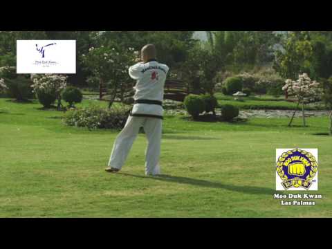 Taeguk SAM Yang - YouTube