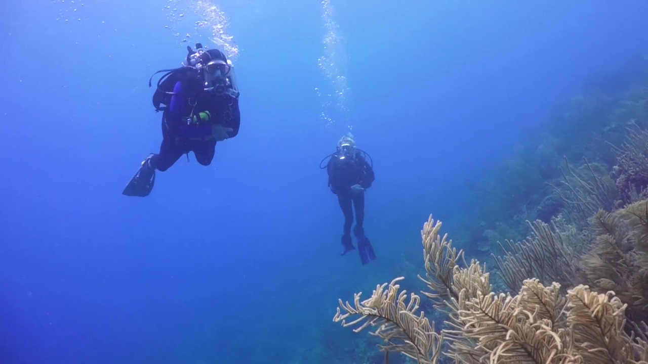 Fins Scuba & Water Sports Bend, Oregon at Anthony's Key Resort Key Hole ...