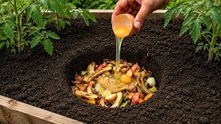 Mix Egg and  Fruit Peels in a Hole… See What Happens! Millions of People Don’t Know This!