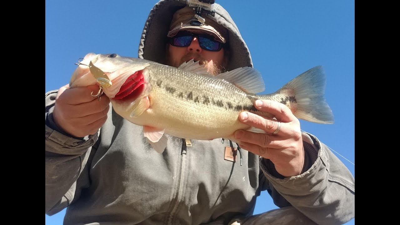 The Classic Silver Buddy For Winter Bass - YouTube