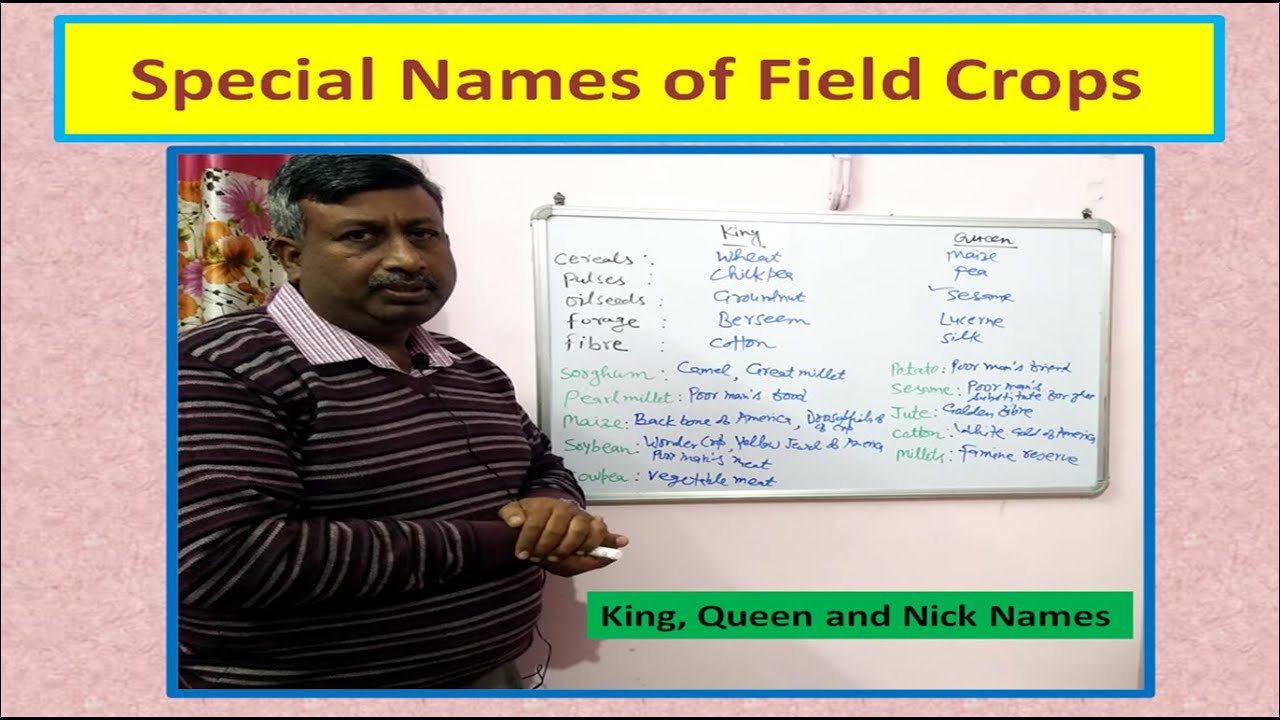 Special Names of Field Crops - YouTube