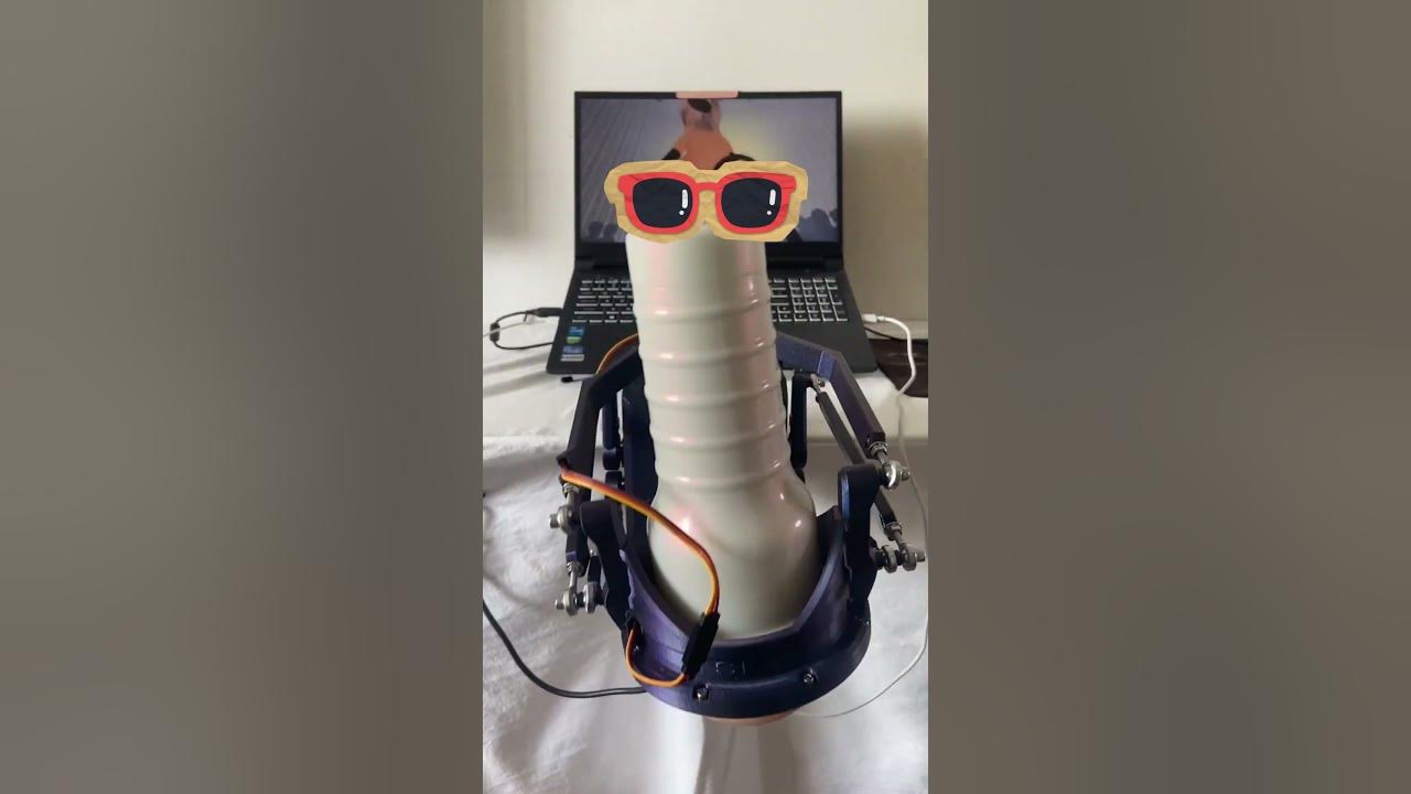 6 axis SR6 Stroker Robot with Fleshlight Demo 04 - YouTube