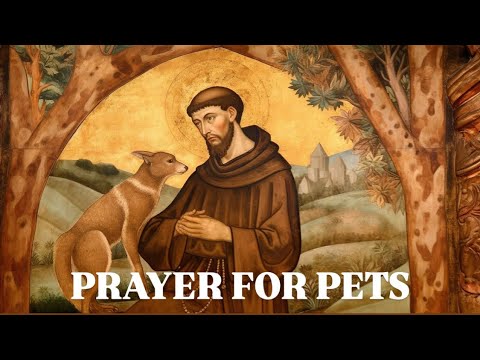Prayer for Pets by Saint Francis of Assisi - YouTube