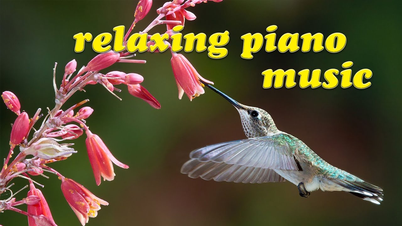 Relaxing piano music. Keys to Relaxation: Serene Piano Meditations ...