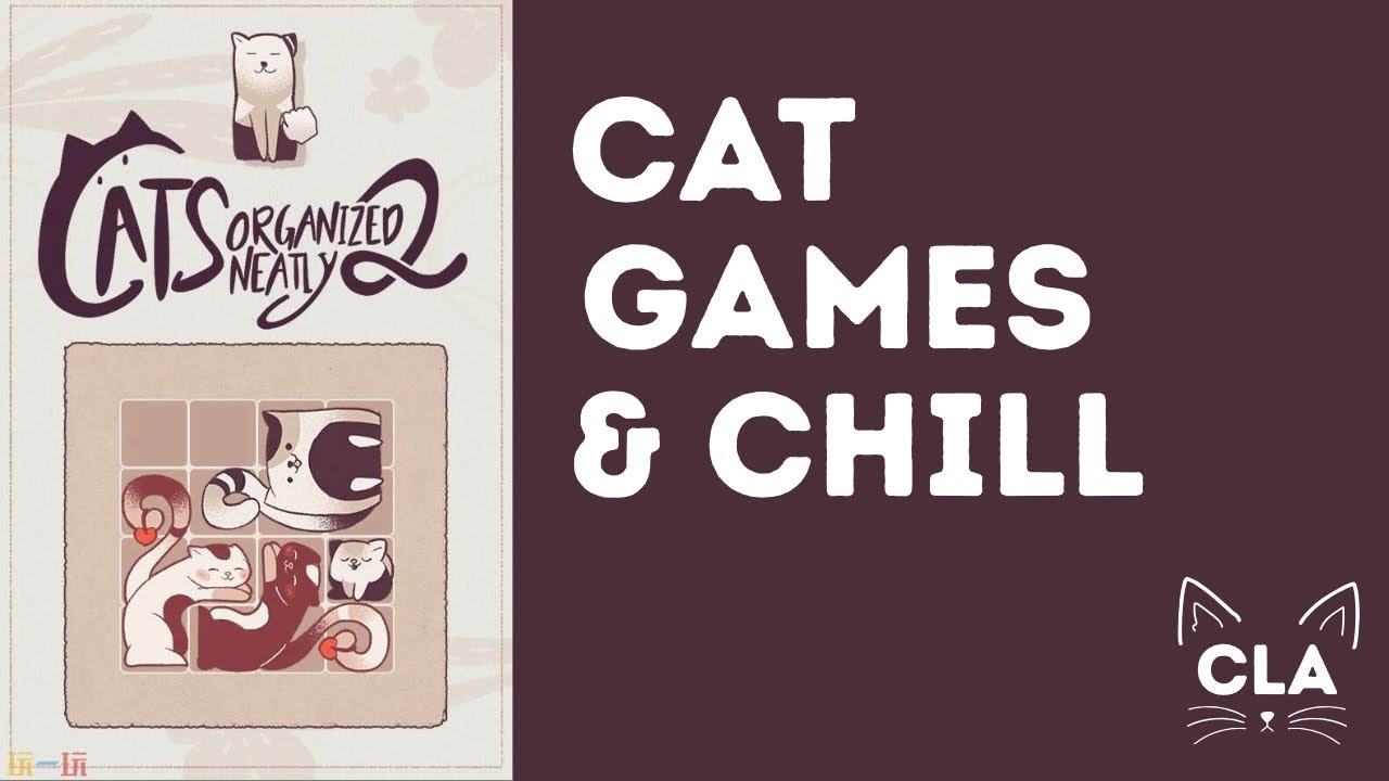 Cat Games & Chill | Cats Organized Neatly - YouTube