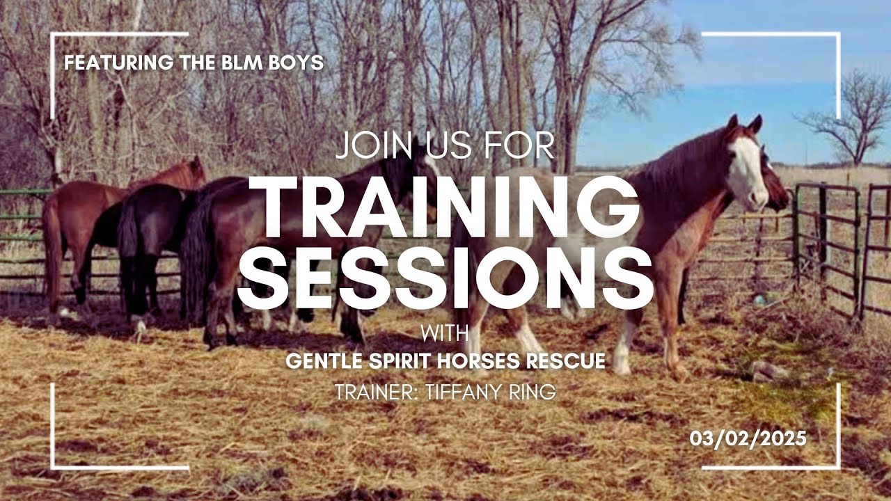 Training Sessions - a week with the Mustangs - YouTube