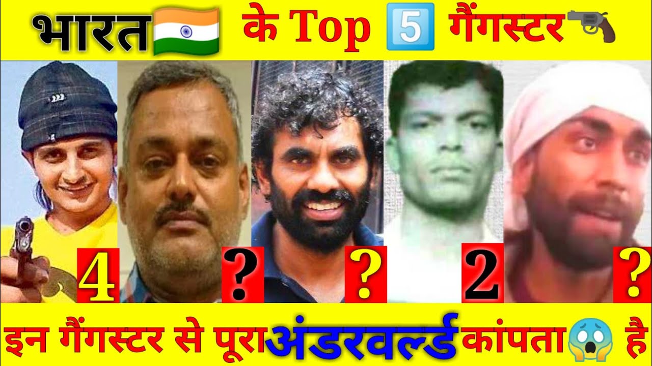 Top 5 Top 5 Gangster In India YouTube top-5-top-5-gangster-in-india-youtube