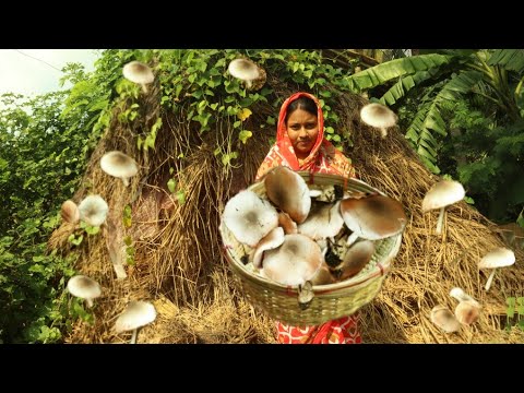 Natural MASHROOM Recipe !! You Never Seen Before This MASHROOM Recipe ...