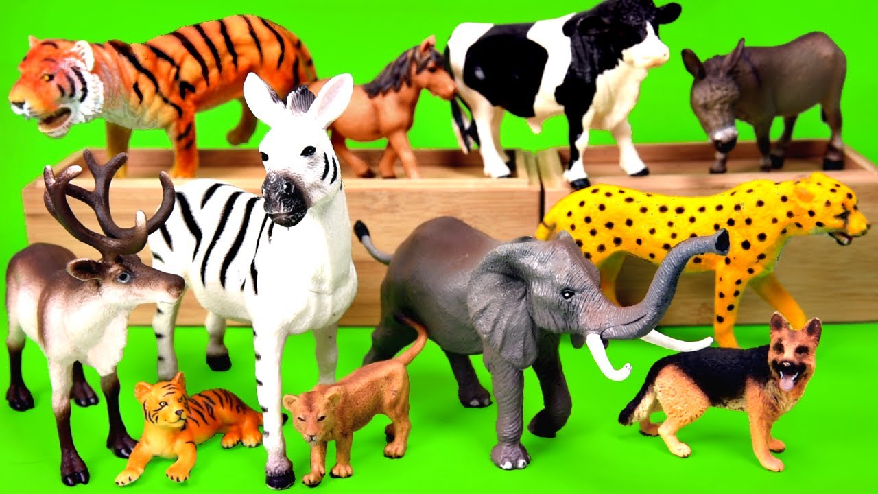 Wild Animals Matching For Kids - Zebra, Tiger, Cow, Cheetah, Elephant ...
