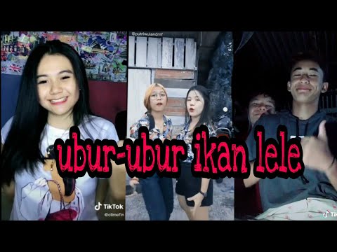Terbaru tiktok ubur-ubur ikan lele yang sedang viral, enak juga musikya didenger...