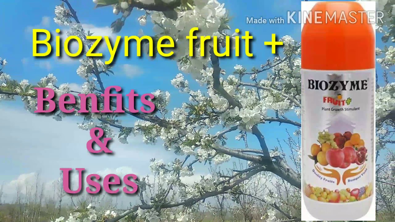 Biozyme fruit + benfits and uses how to use Biozyme fruit + liquid ...