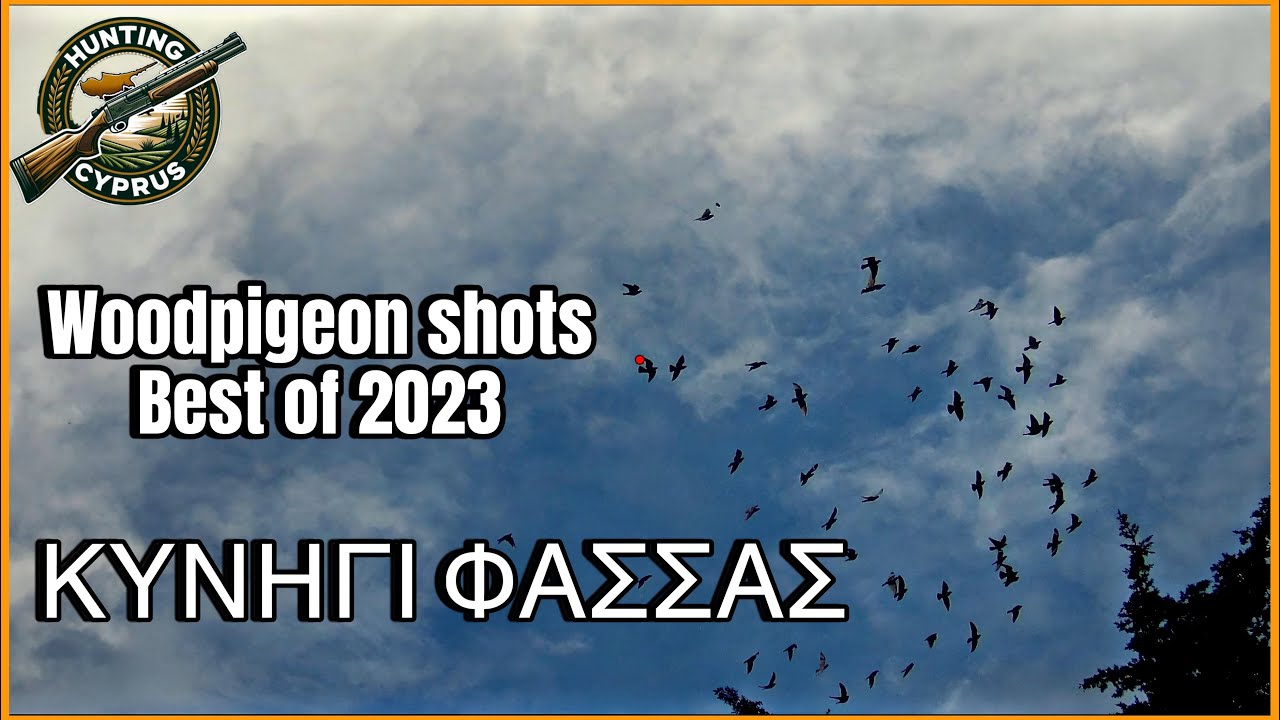 Κυνήγι Φάσσας: Best Of 2023 (Hunting Woodpigeon, Caccia al colombaccio ...
