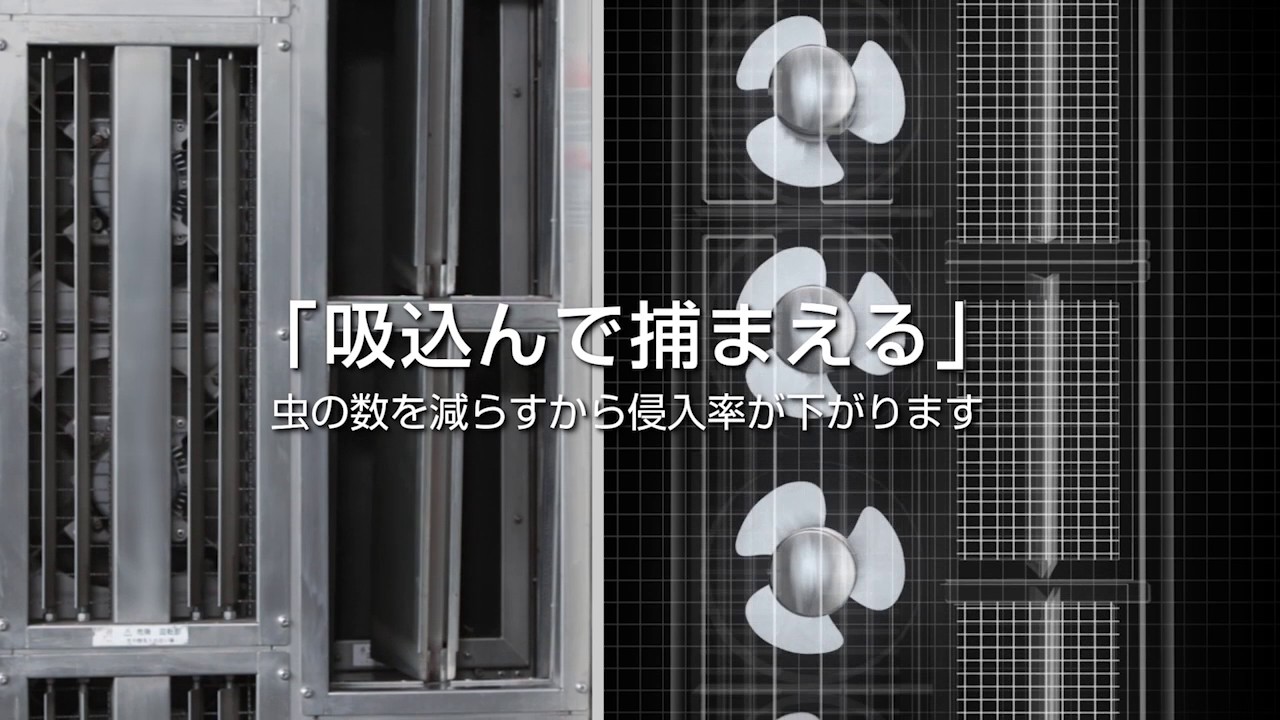 BUG SHUTTER - YouTube