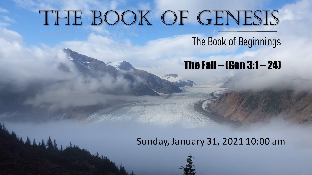 Book of Genesis - (Gen 3:1 - 24) - YouTube