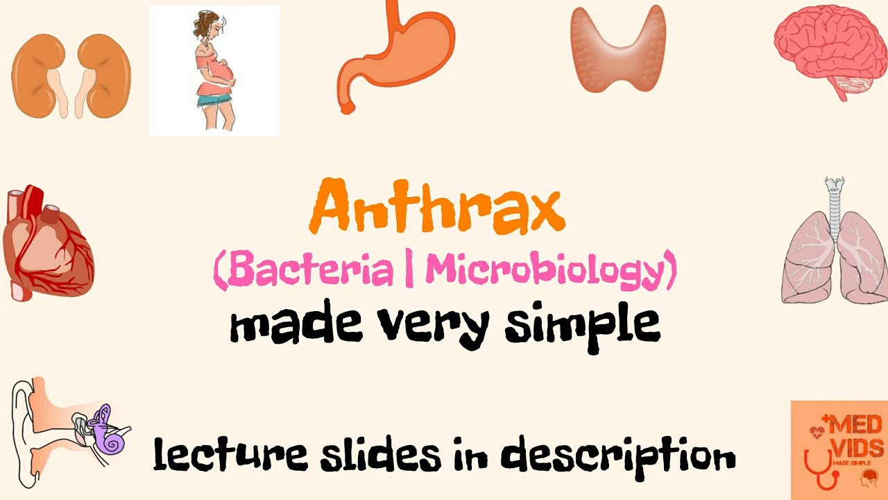 Anthrax | Microbiology | Med Vids Made Simple - YouTube