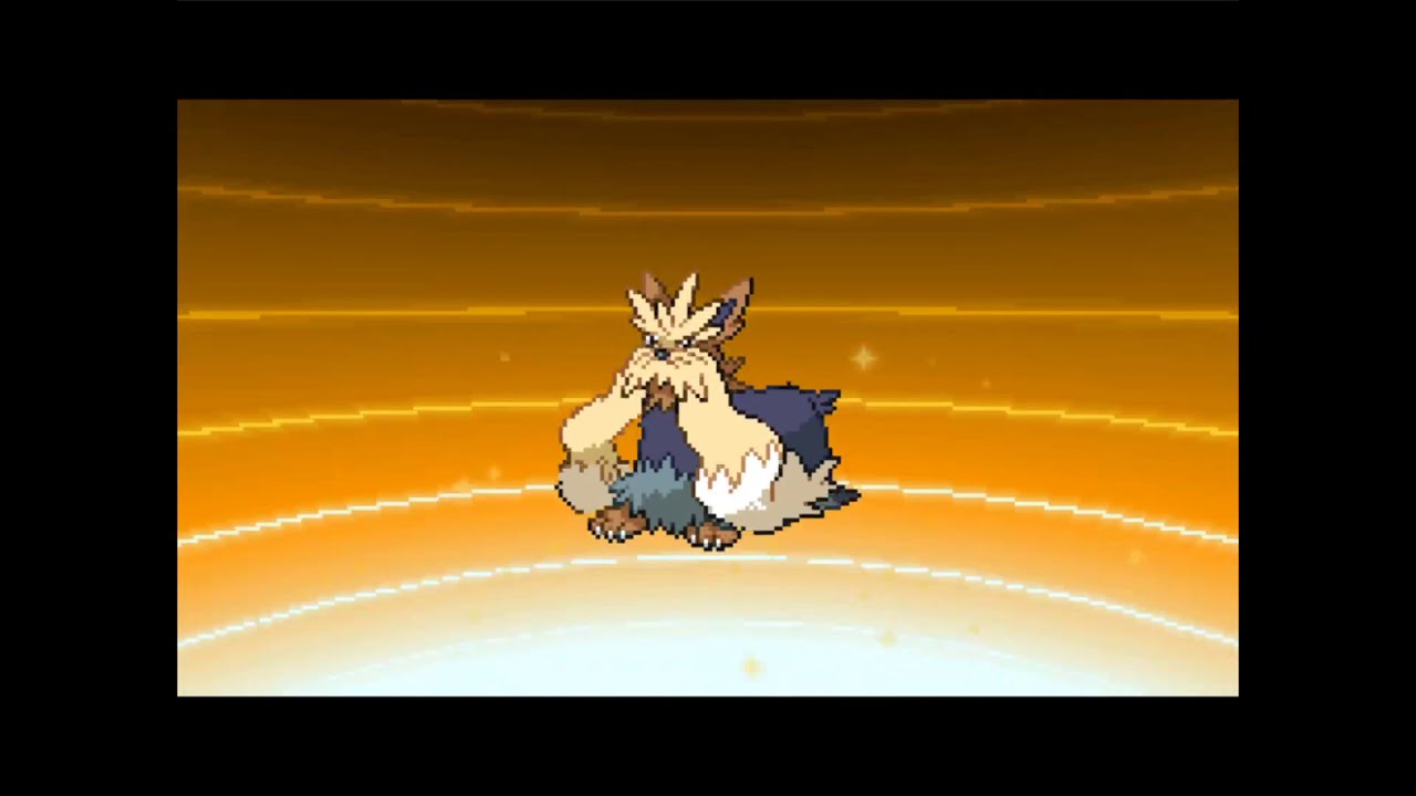 Evolución de HERDIER - YouTube