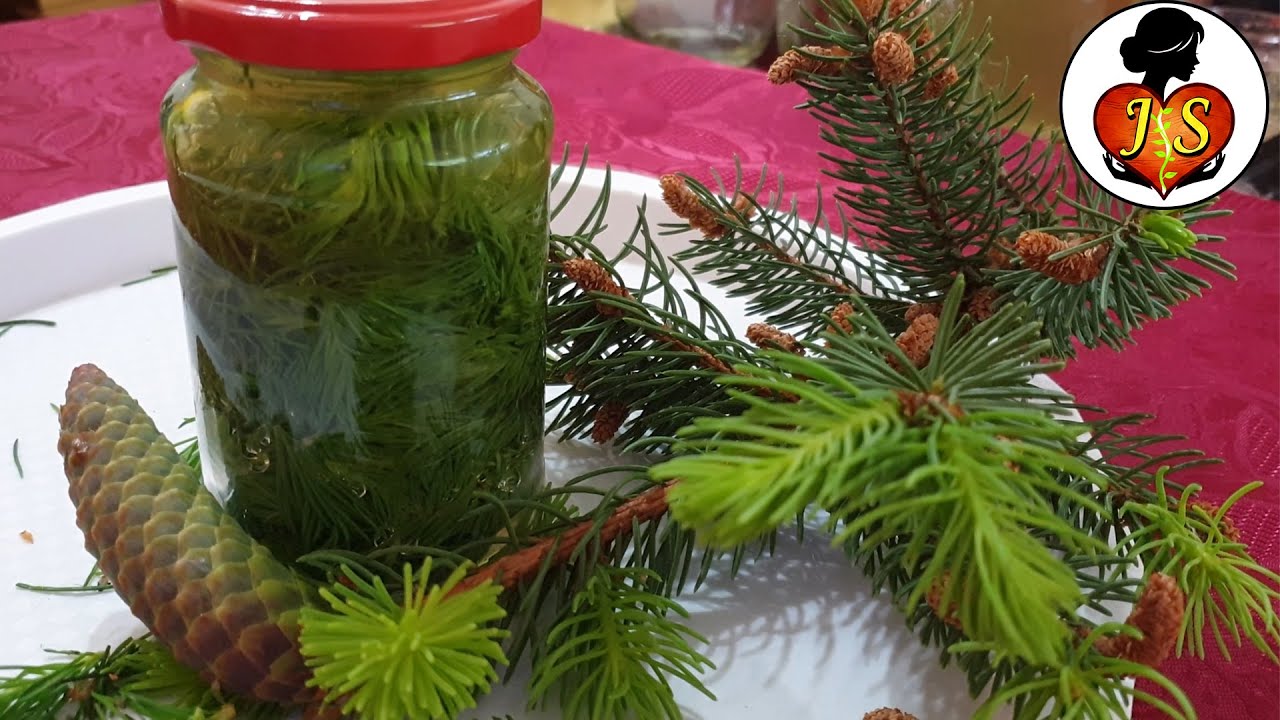 Honey from pine and fir needles - a natural remedy against colds and ...