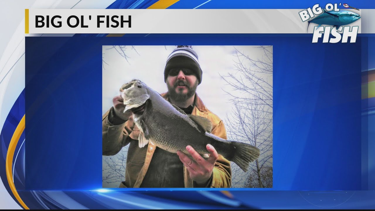 Big Ol Fish 1-30 - YouTube