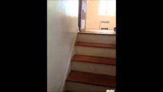 co-op  apt in Laurelton/Queens NY