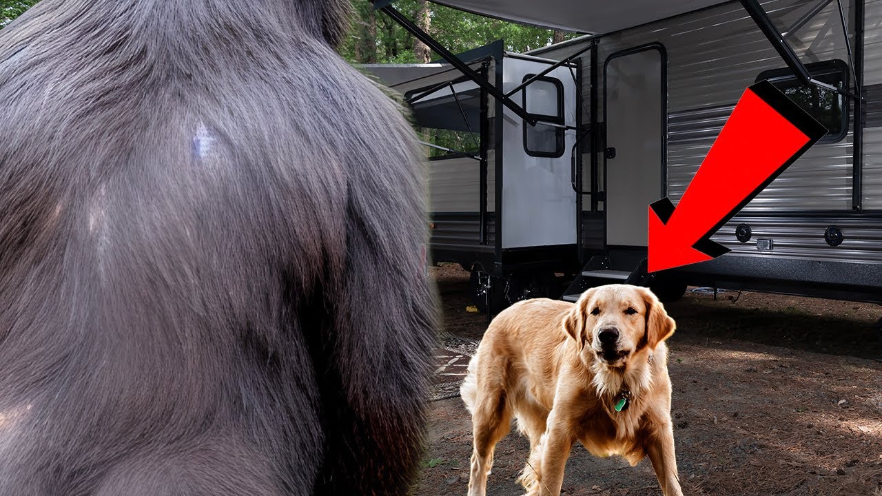 My Dog Saved Me From THIS - YouTube