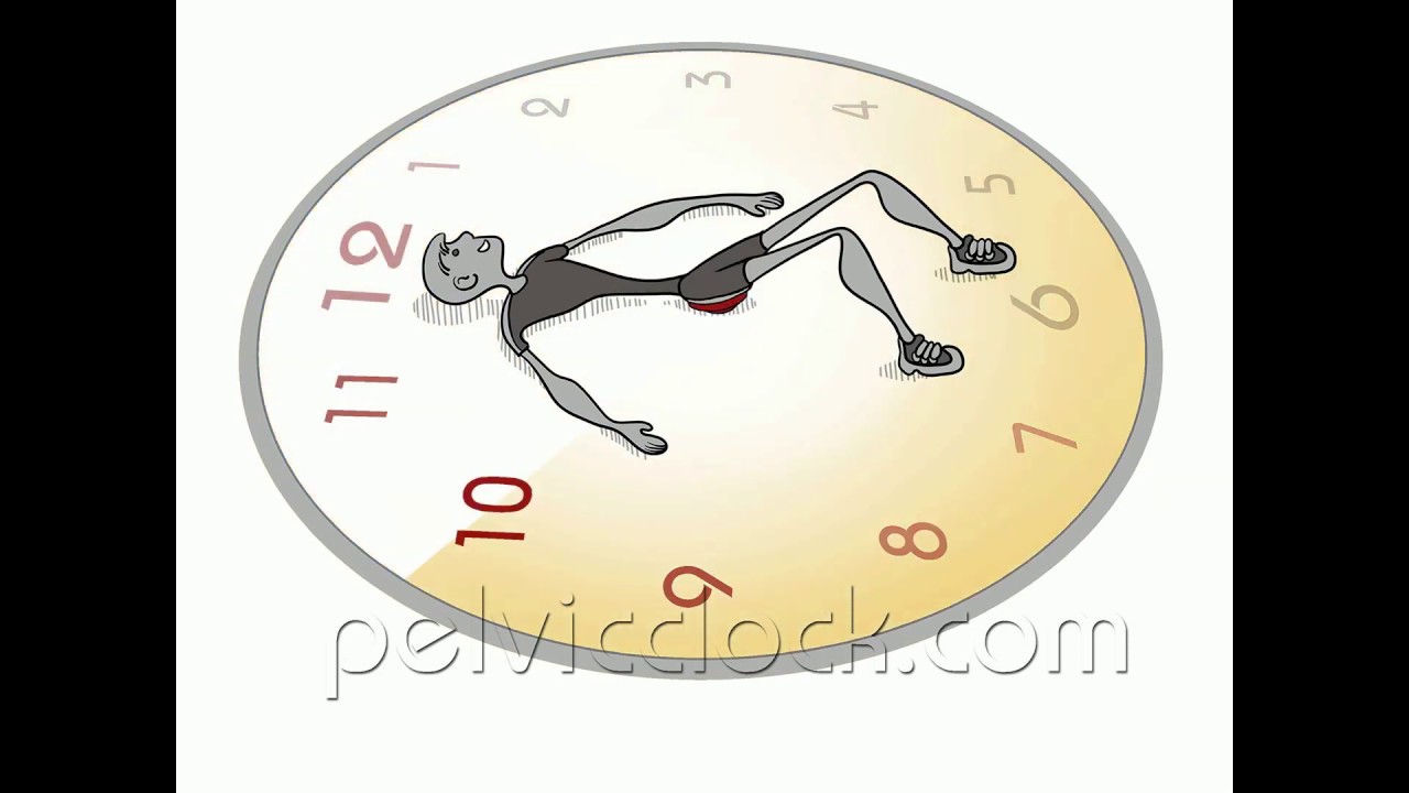 Pelvic Clock® Stretches for Hips & Lower Back - Basic Routine - YouTube