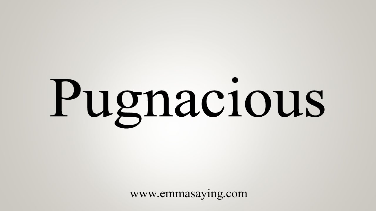 How To Say Pugnacious YouTube how-to-say-pugnacious-youtube