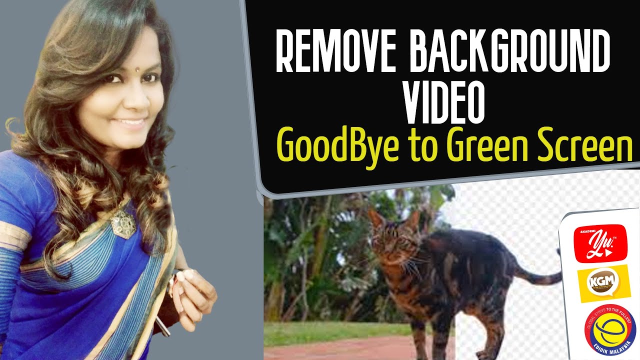 Remove background Video @ Goodbye to Green Screen - YouTube