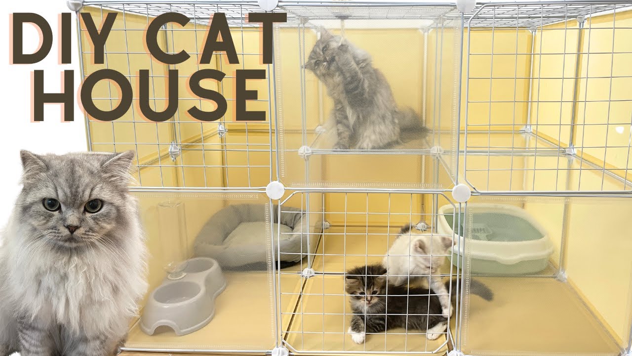 How to DIY a cat house for my furry families 😉🐈 - YouTube