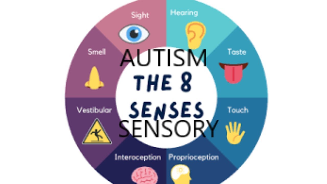 AUTISM AND THE 8 SENSORY SENSITIVITIES - YouTube
