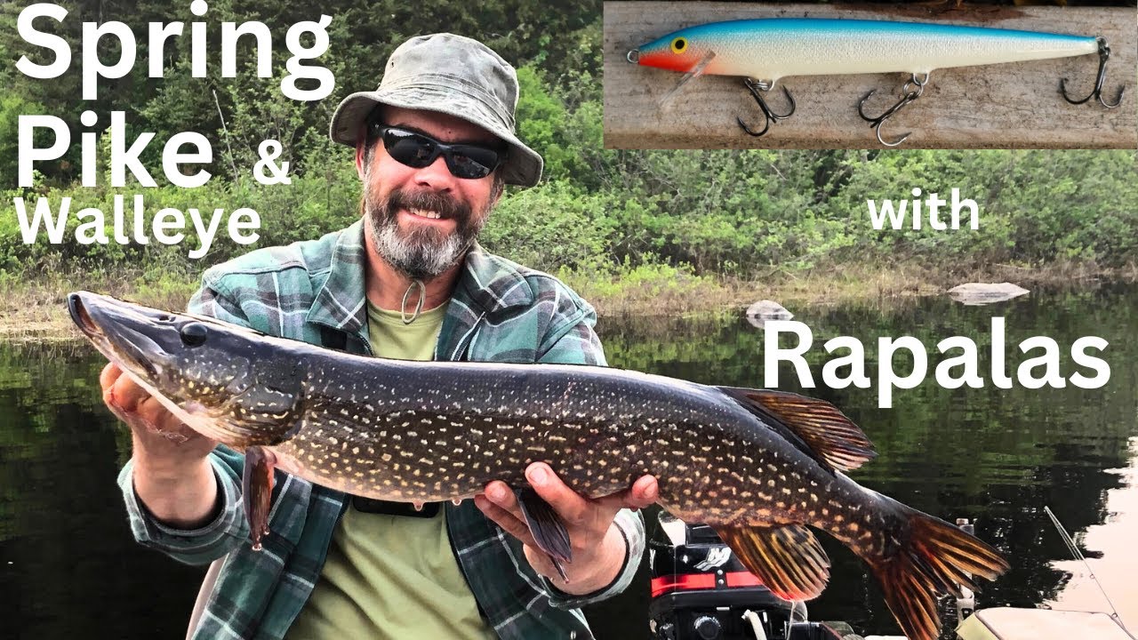 Spring Pike and Walleye with Rapalas - June 2023 - YouTube