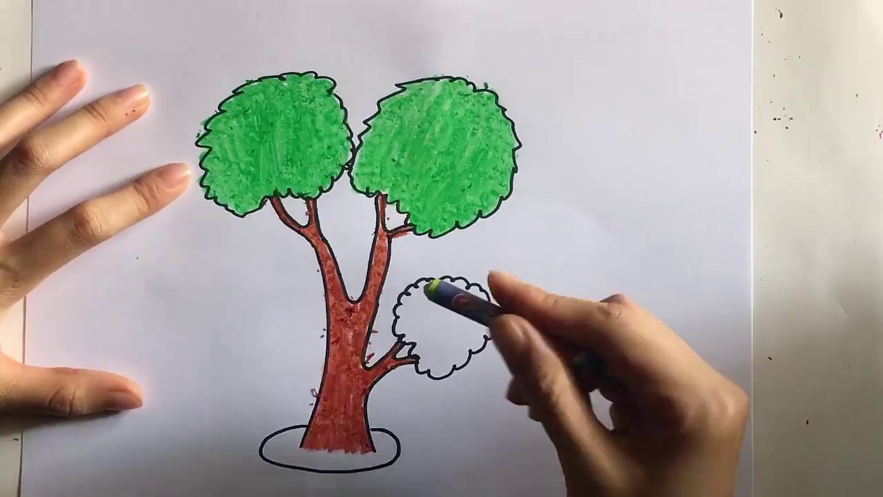 How To Draw A Tree For Beginners Easily Step By Step YouTube how-to-draw-a-tree-for-beginners-easily-step-by-step-youtube
