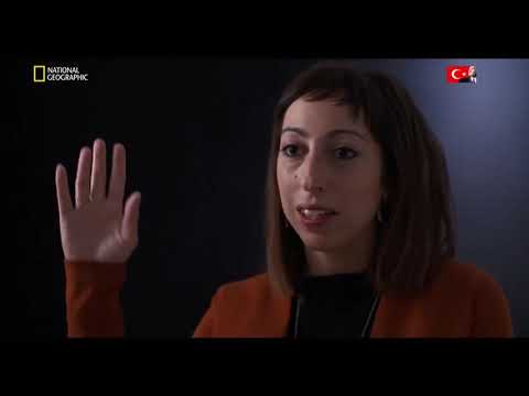 Cenova Köprüsü Felaketi
