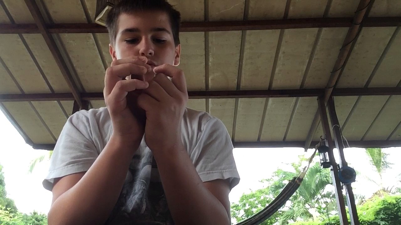 [TUTO] COMMENT SIFFLÉ AVEC UNE HERBE - YouTube