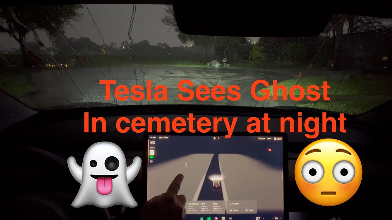 Tesla sees ghost in cemetery at night… what is this? - YouTube