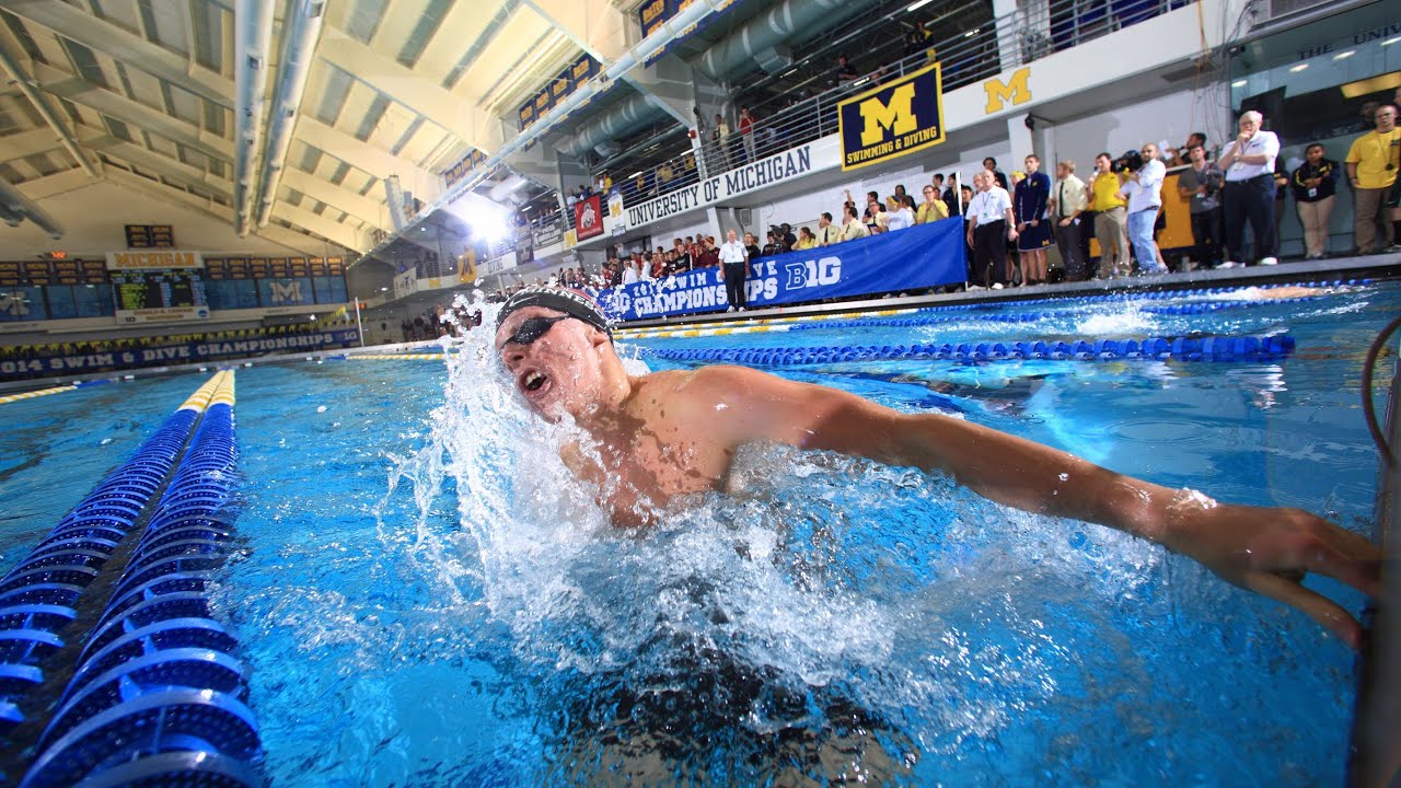 2014 Gopher Men's Swimming & Diving B1G Championships Recap - YouTube