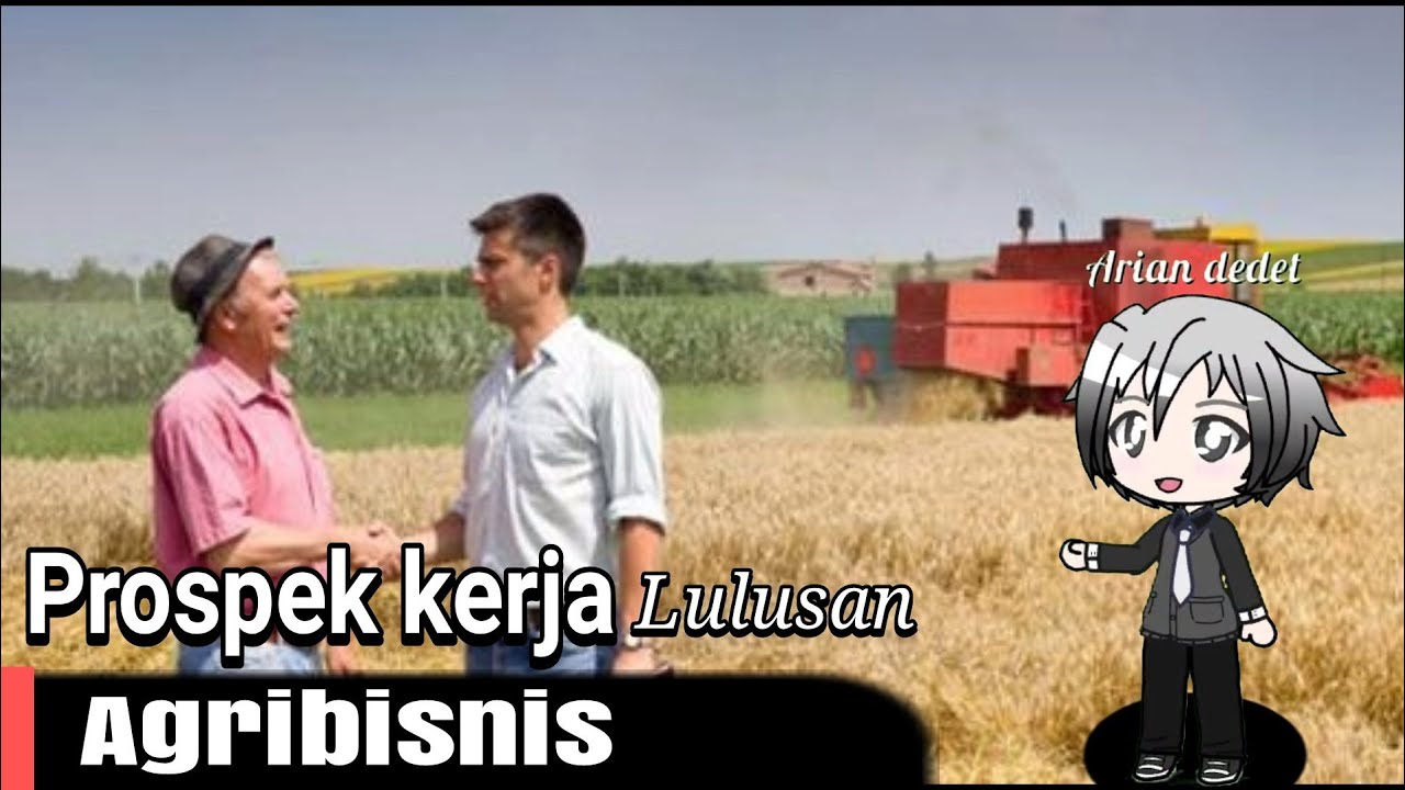 10 peluang atau prospek kerja lulusan Agribisnis - YouTube