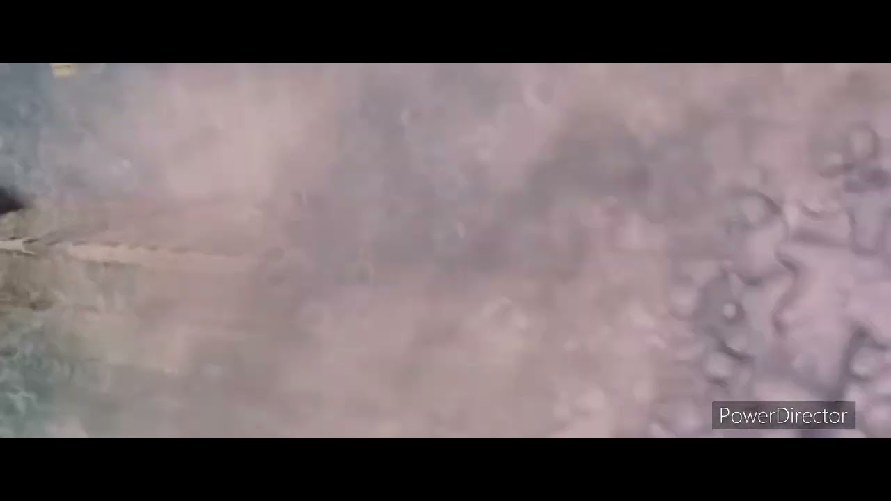 Shark tale Gangster Shark Chase crossover - YouTube