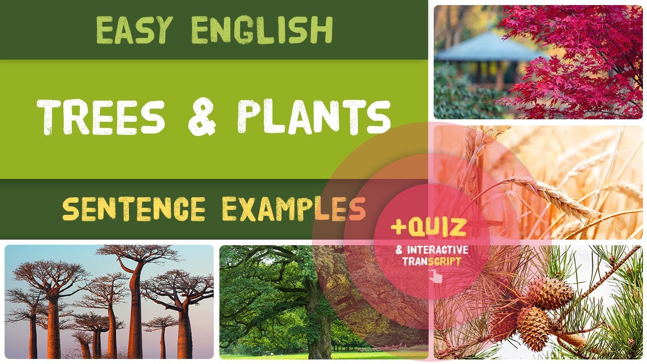 Trees and Plants | English Speaking Practice with English Vocabulary ...