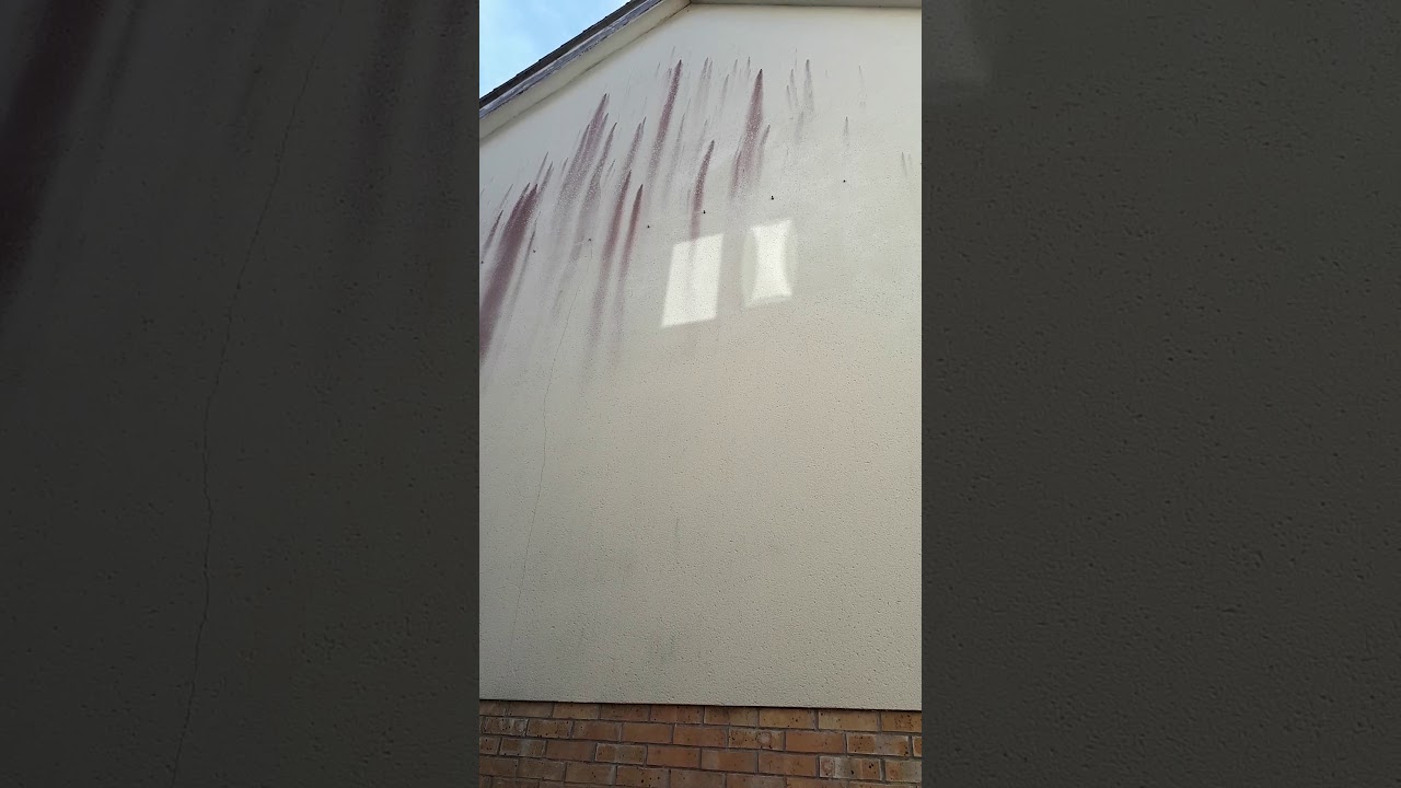 Red algae on K-Rendered building - YouTube