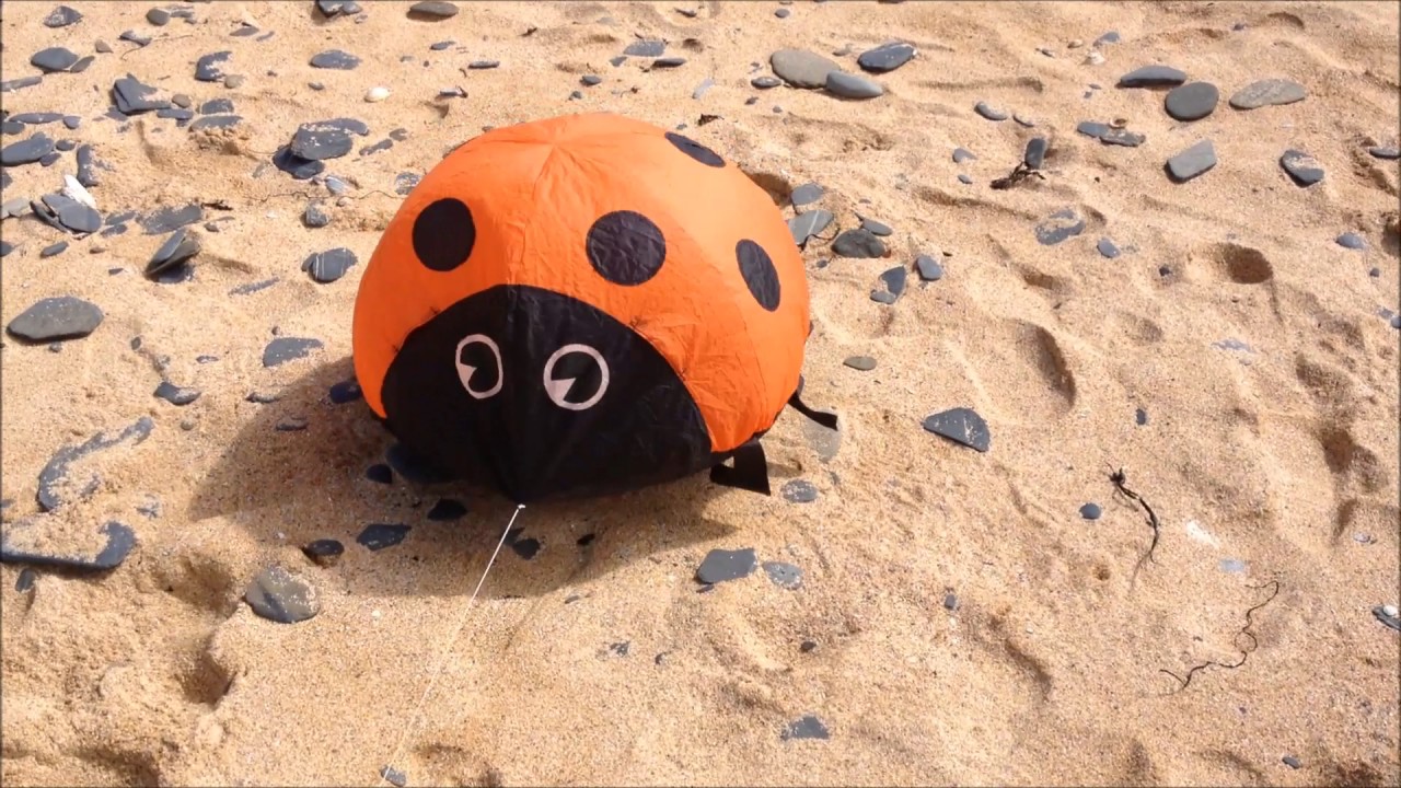 Ladybird dancing in Cornwall - YouTube