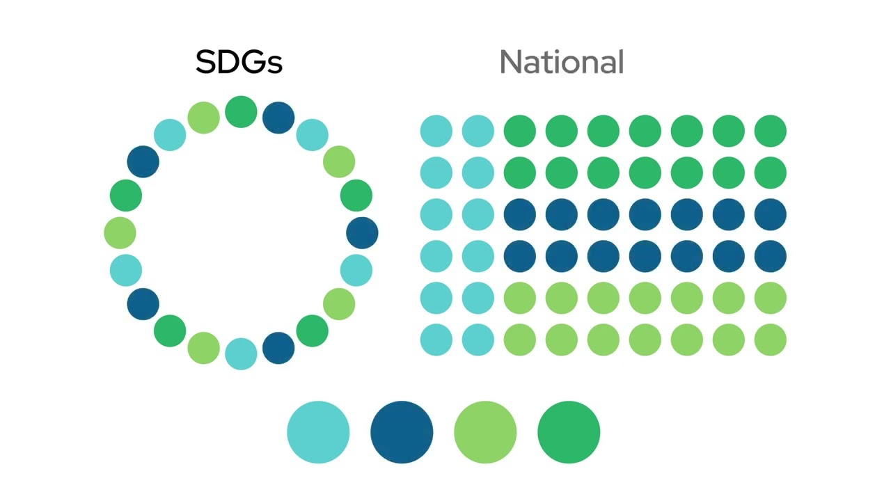 DSFWG | ESG Maturity Model - YouTube