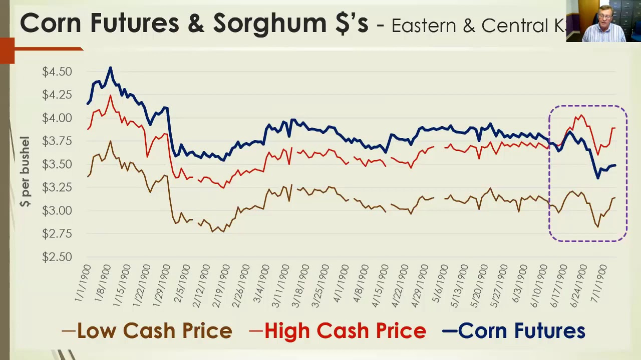 Kansas Grain Sorghum Prices vs Costs During COVID-19 - YouTube