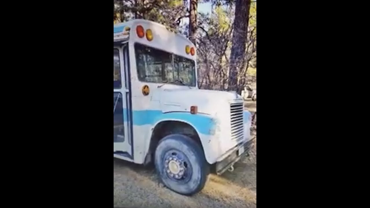 1973 Wayne International Loadstar - Bus Stuff For Sale - YouTube