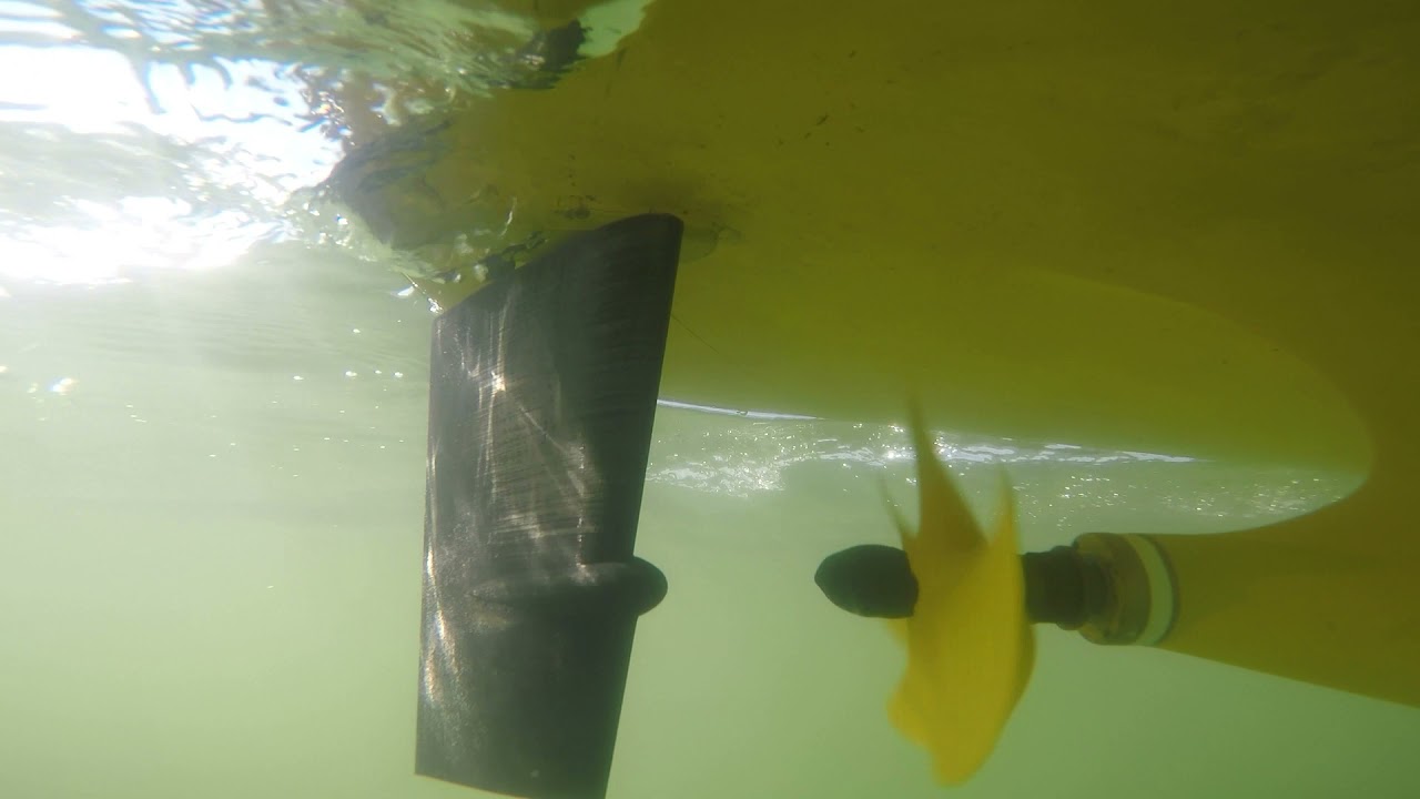 [DTC Pond Experiments 4] Underwater View - YouTube