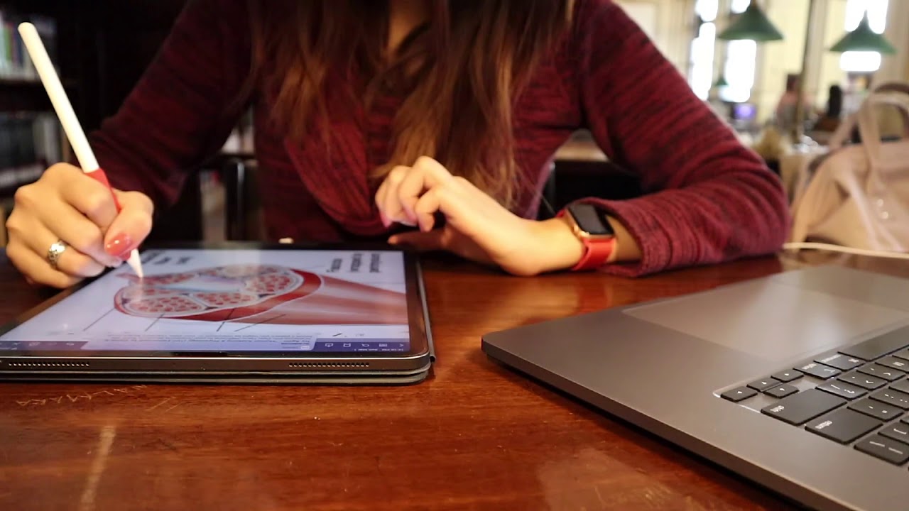 STUDY WITH ME AT THE LIBRARY | 2 HOURS REAL TIME FOCUSED STUDY ...