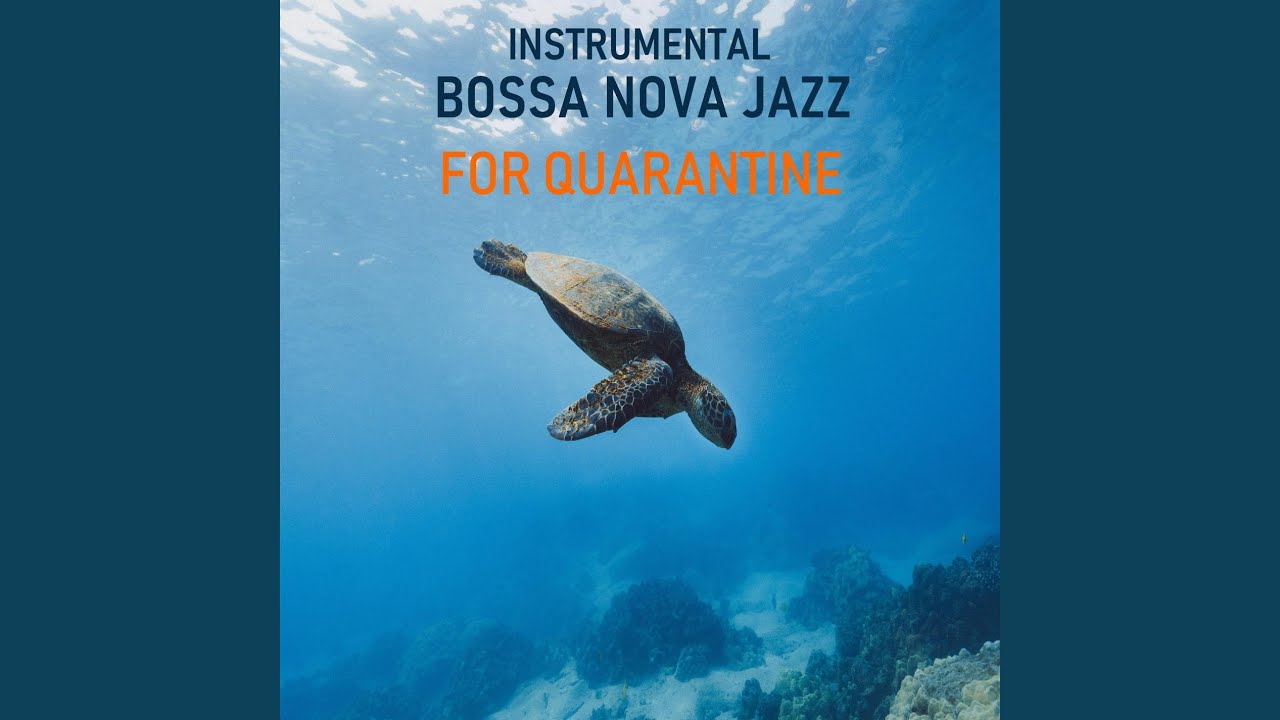 Staying in My Shell - YouTube