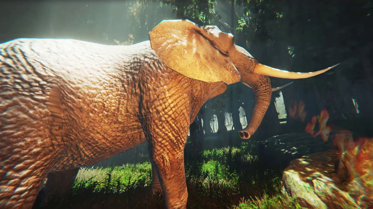 animation on unity - YouTube