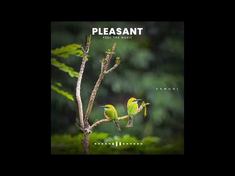 Piano and flute combo WhatsApp status