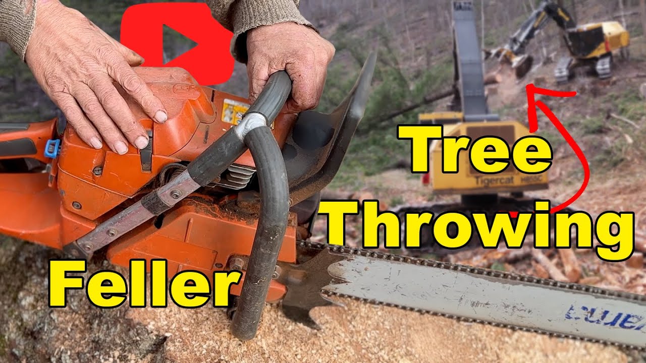 STEEP Slope Logging on Rocky Mountain Side | A Lifetime of Work in the ...