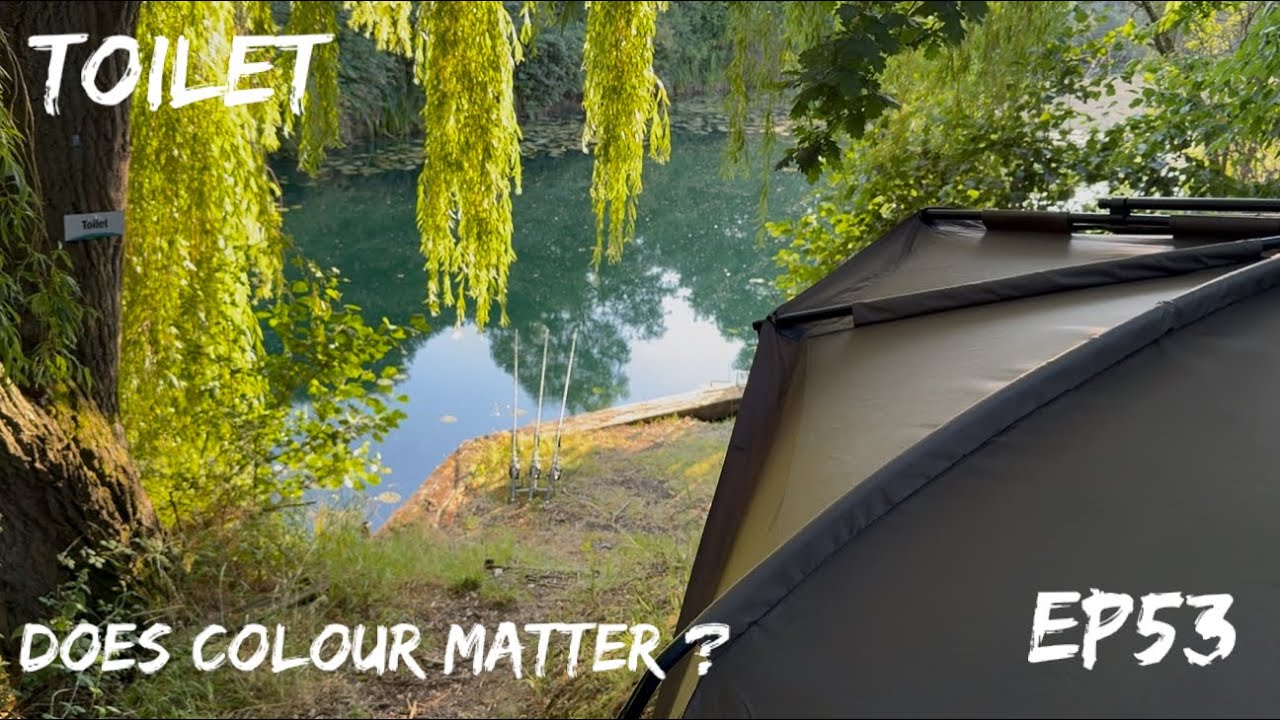 12/7/25 Does colour matter ? Toilet - YouTube